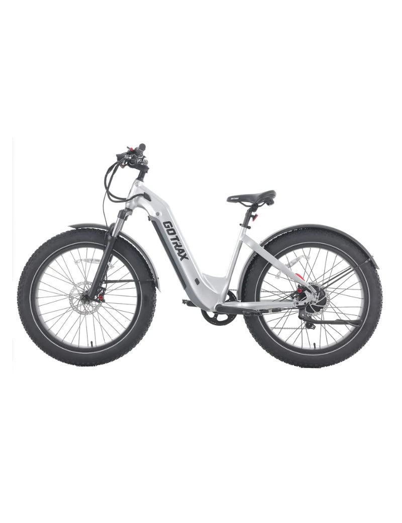 SHOK TRIODES - Vélo électrique 3 roues | ECOBIKE LACHUTE