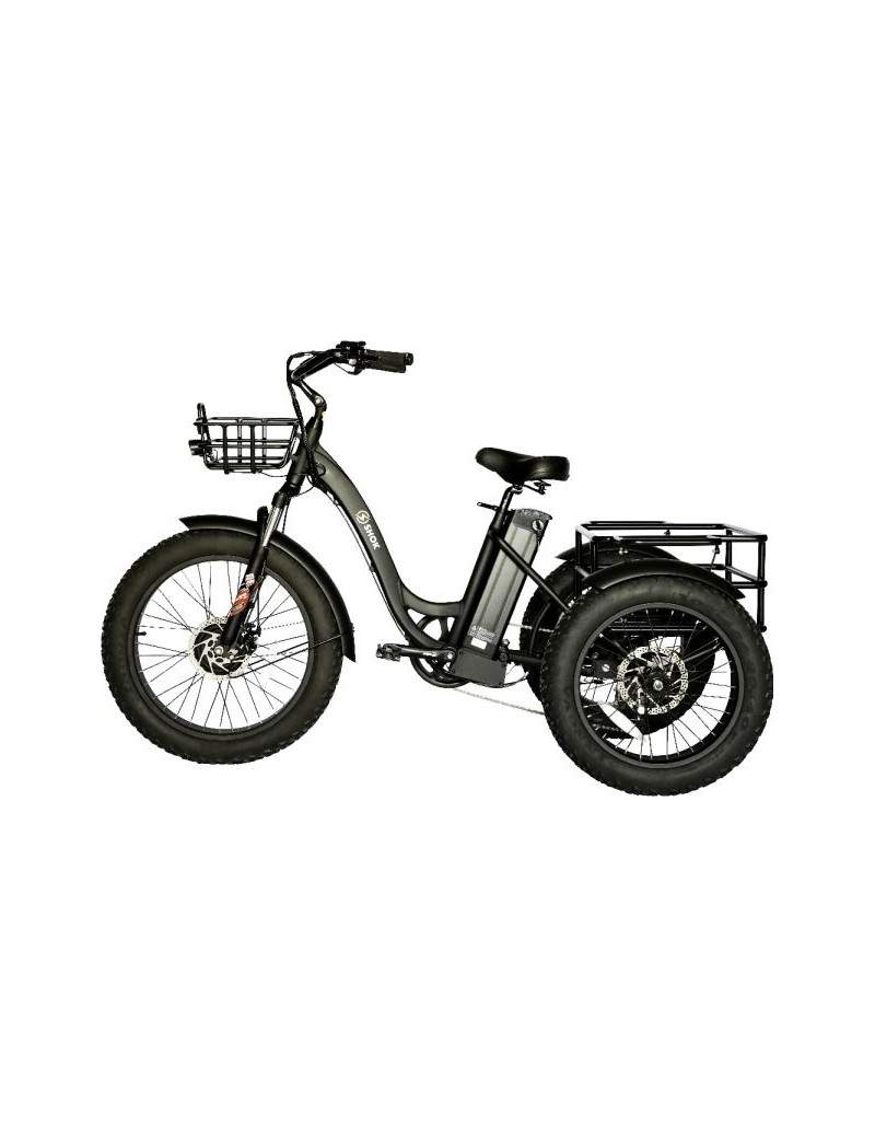 SHOK TRIODES - Vélo électrique 3 roues | ECOBIKE LACHUTE