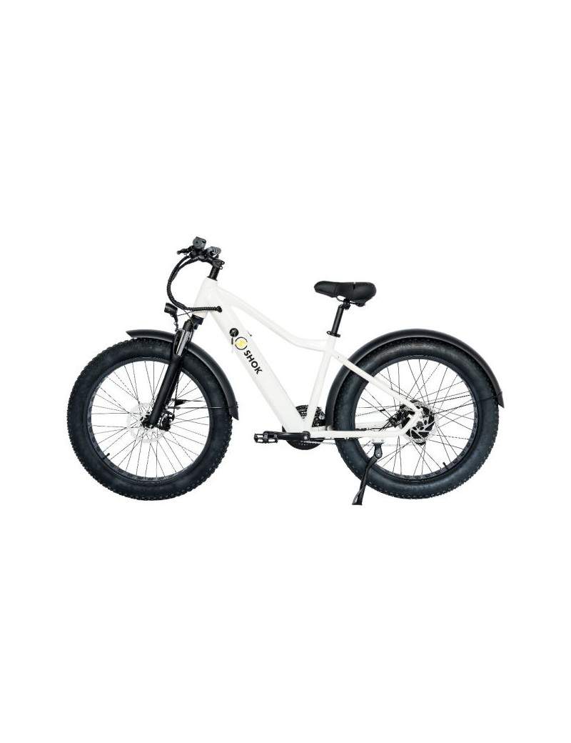 SHOK TRIODES - Vélo électrique 3 roues | ECOBIKE LACHUTE